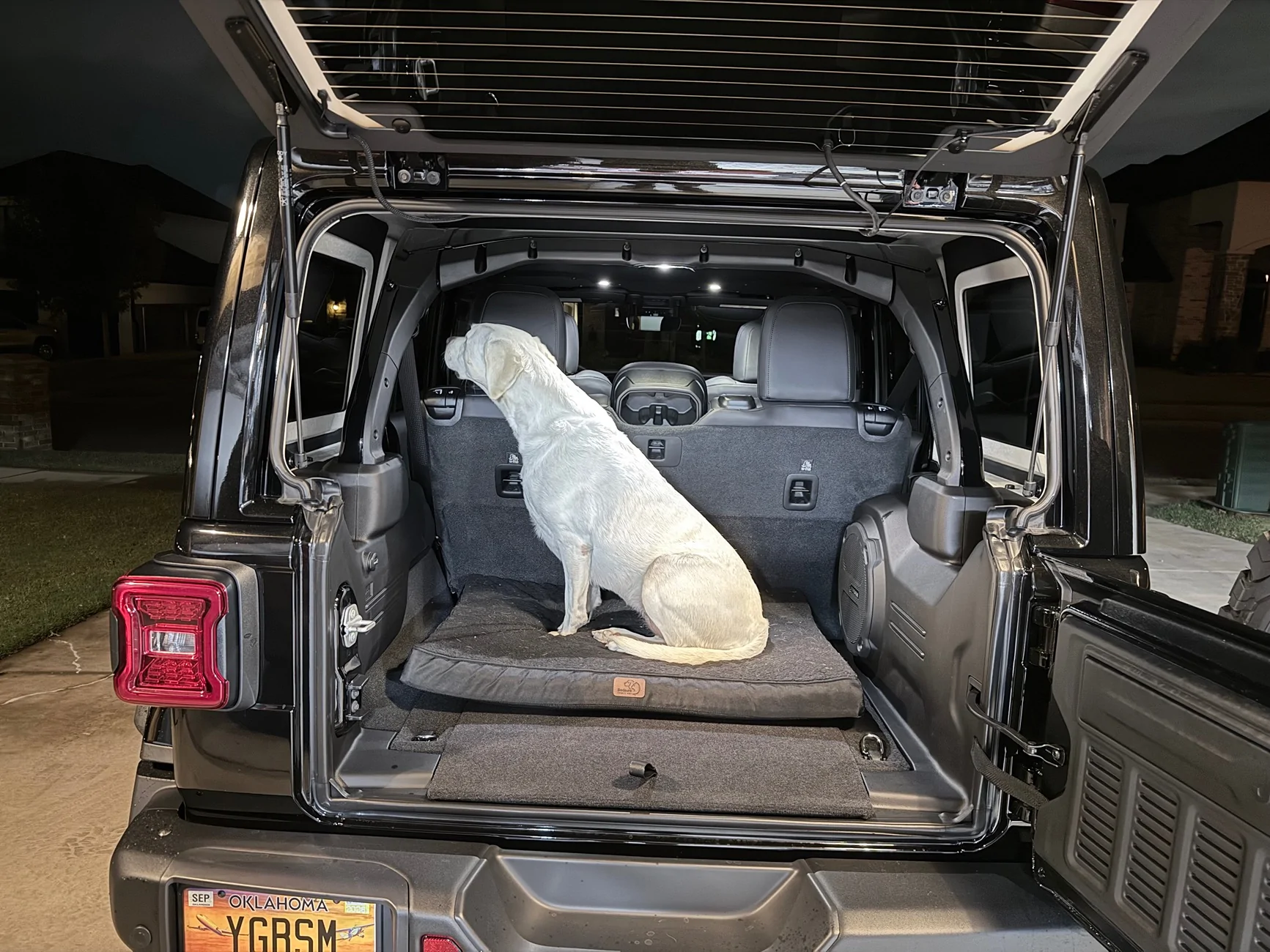 Problem pets | Page 2 | Jeep Wrangler Forums (JL / JLU) -- Rubicon, 4xe, 392, Sahara, Sport ...