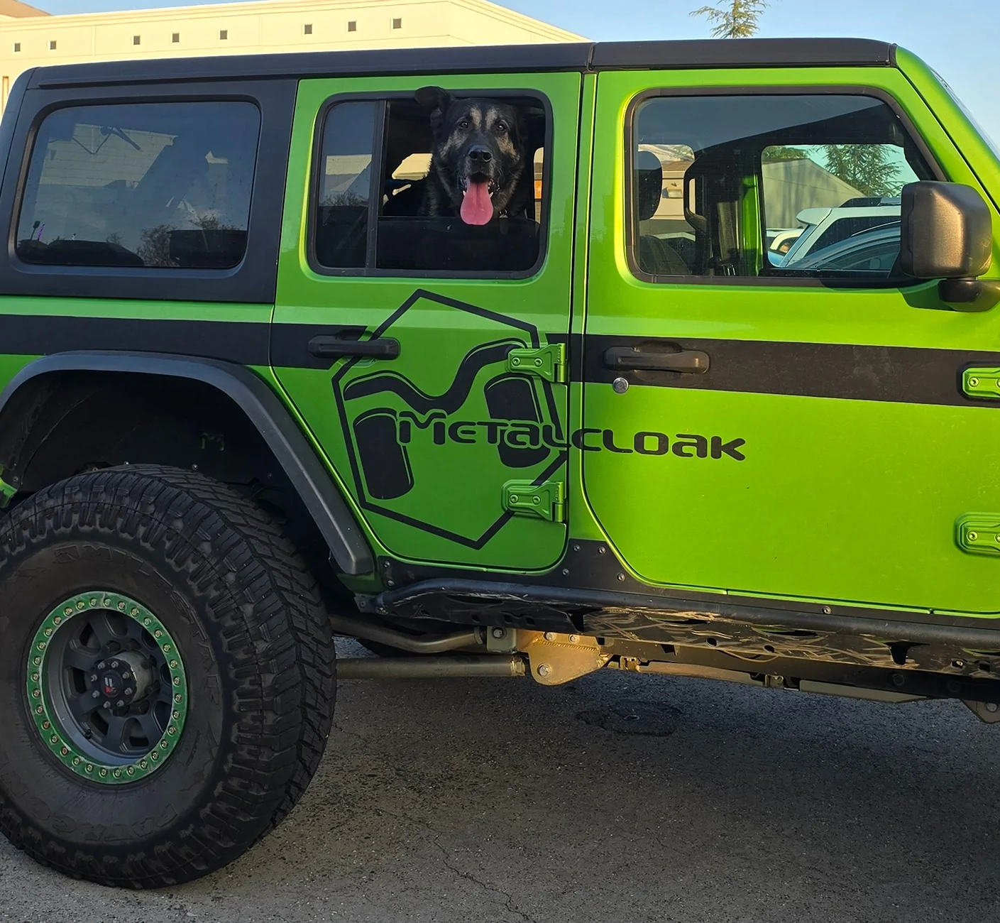 Anyone Off-Roaded With Pets? How Hard Is It Really? | Page 3 | Jeep ...