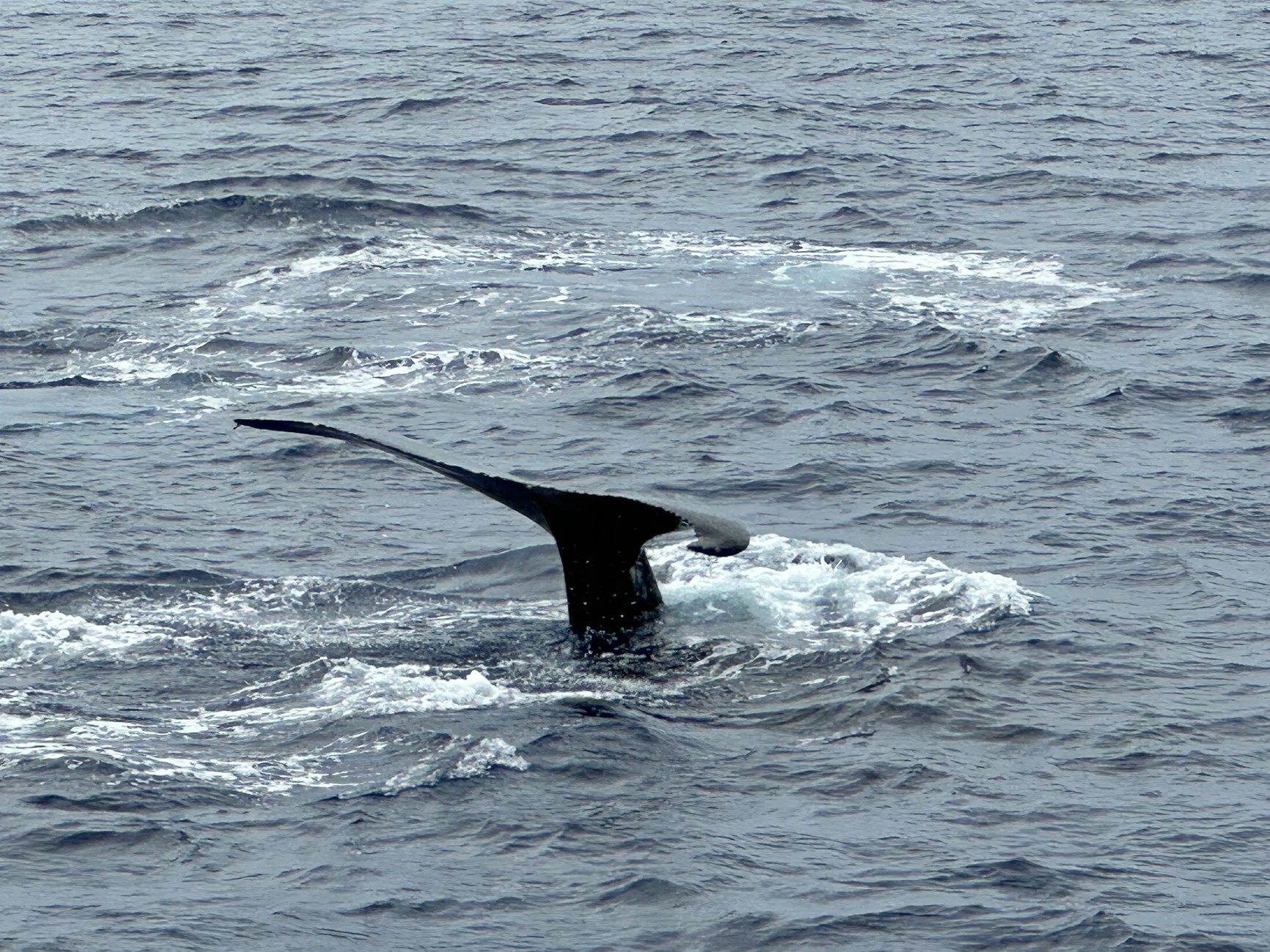 Jeep humor waiting room ( ** NO POLITICS ** ) | Page 37449 | Jeep ...