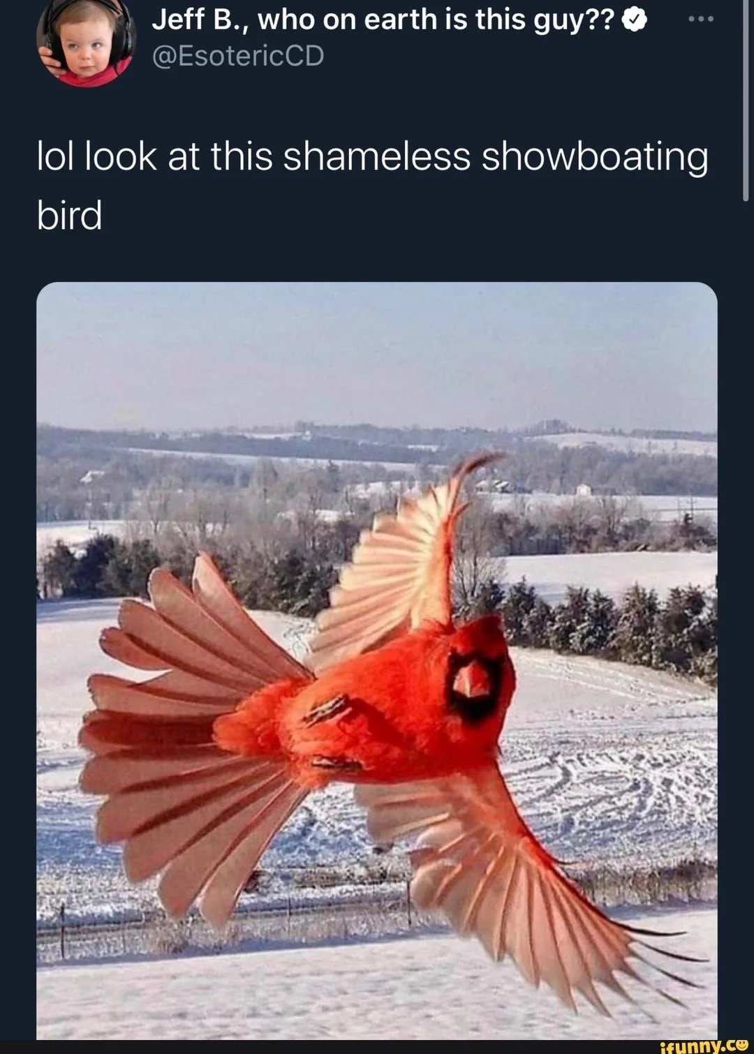 Florida Roll Call! | Page 160 | Jeep Wrangler Forums (JL / JLU) -- Rubicon, 4xe, 392, Sahara ...