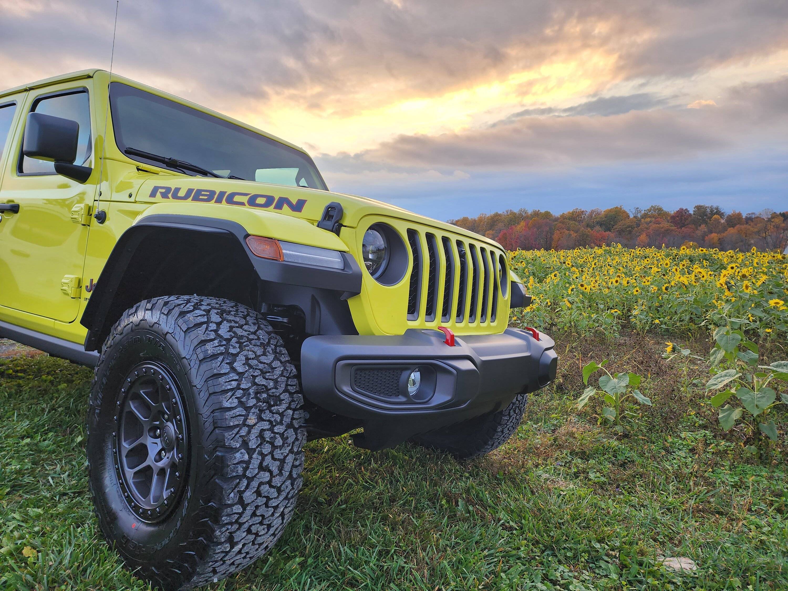 Ready to order help me.. show me your hi velocity vs punkin 4xe vs ...