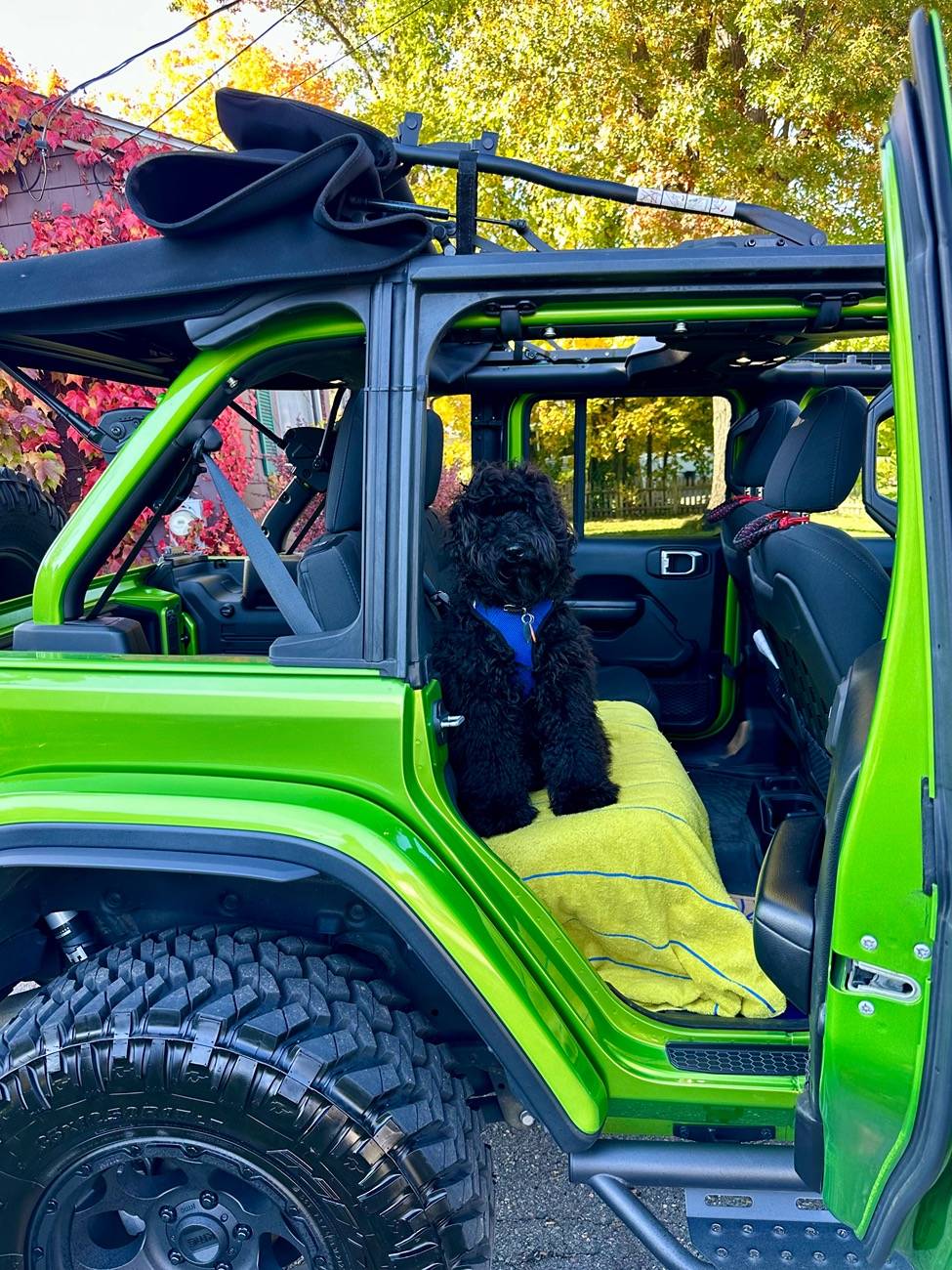 JEEP DOGS / JEEP PETS. | Page 9 | Jeep Wrangler Forums (JL / JLU ...